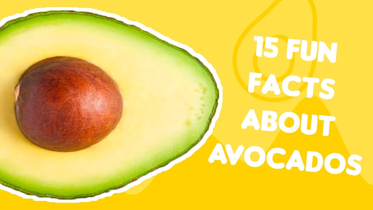 15 Fun Facts About Avocados: From Ancient Aztecs to Modern Marvel - YouTube