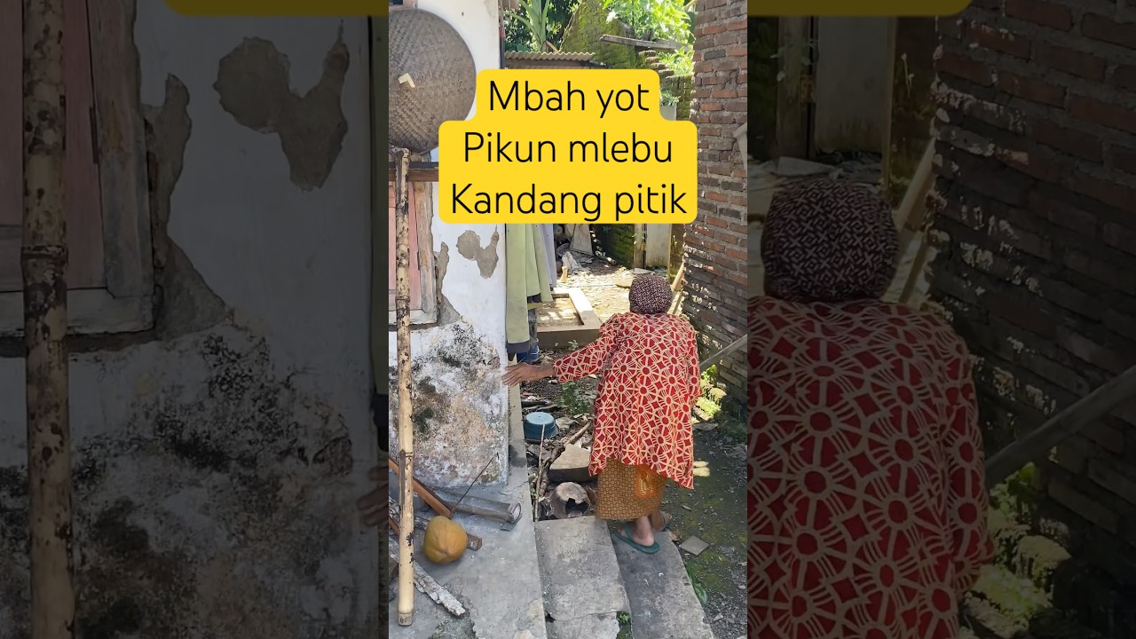 Mbah yot pikun mlebu kandang pitik - YouTube