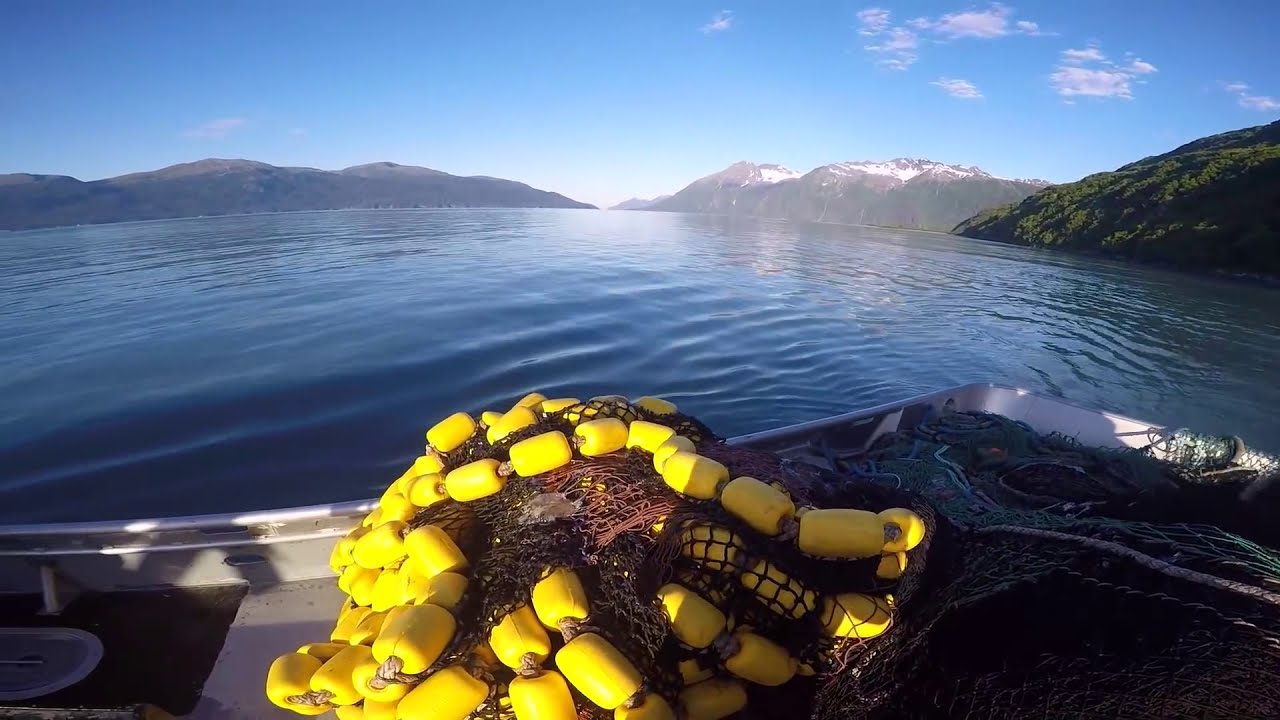 FISH VIDEO-2020,Fishing in The Deep Sea With Big Boat -Tuna,Crawfish ...