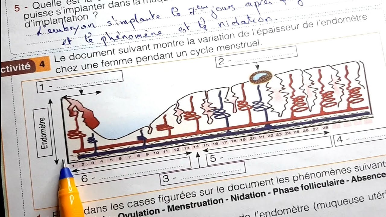 Univers documents SVT 2AC La reproduction chez l'homme page 133 - YouTube