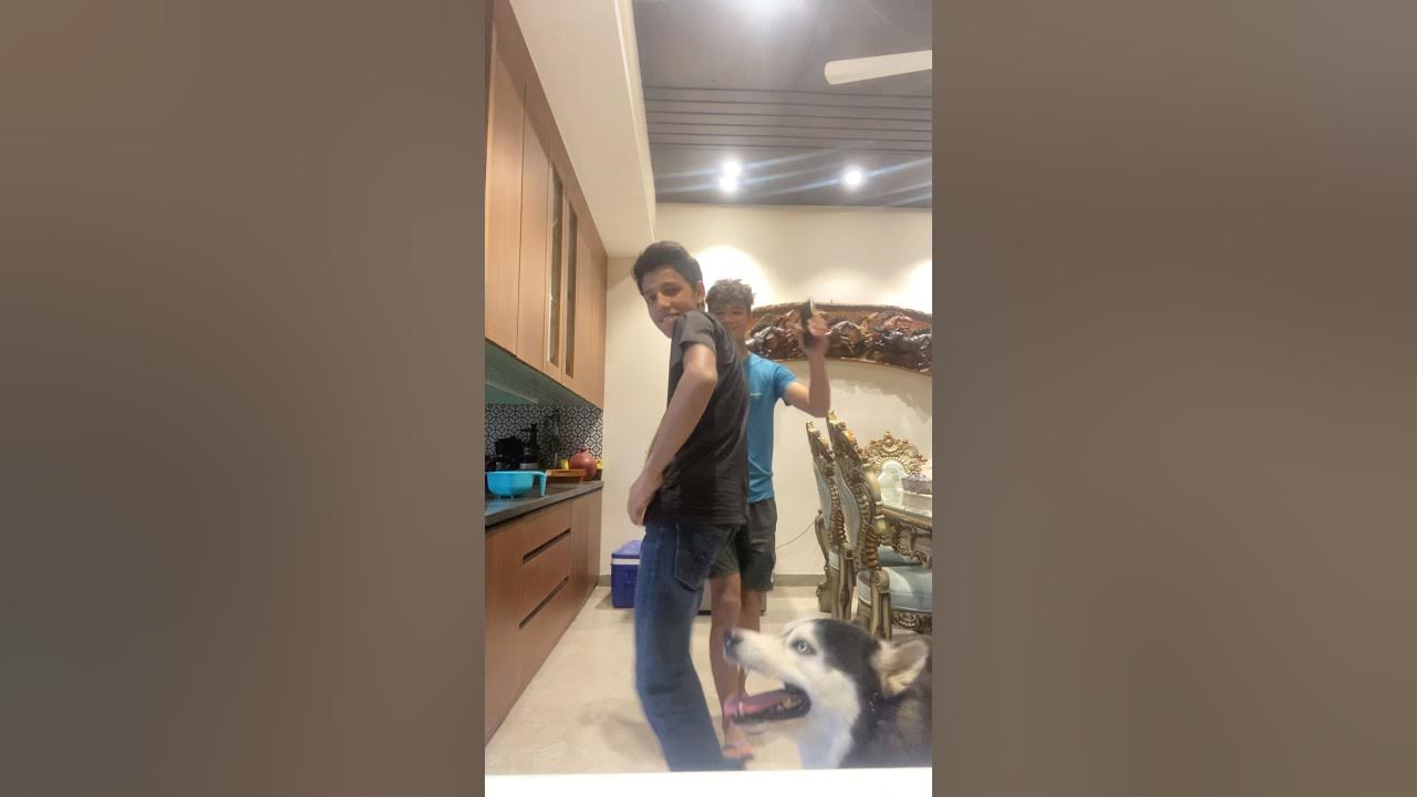 😱🫣 #funny #comedy #shorts - YouTube