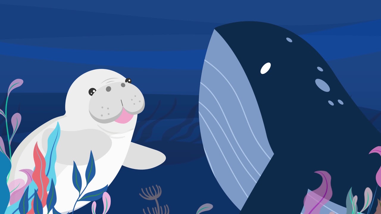 WWF Save the Ocean - YouTube