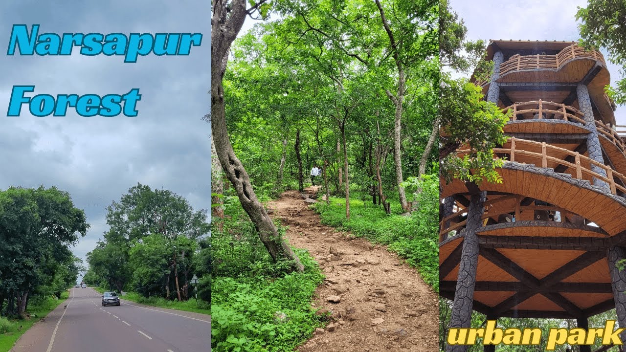 Narsapur Forest urban park | One day Trip from Hyderabad ...