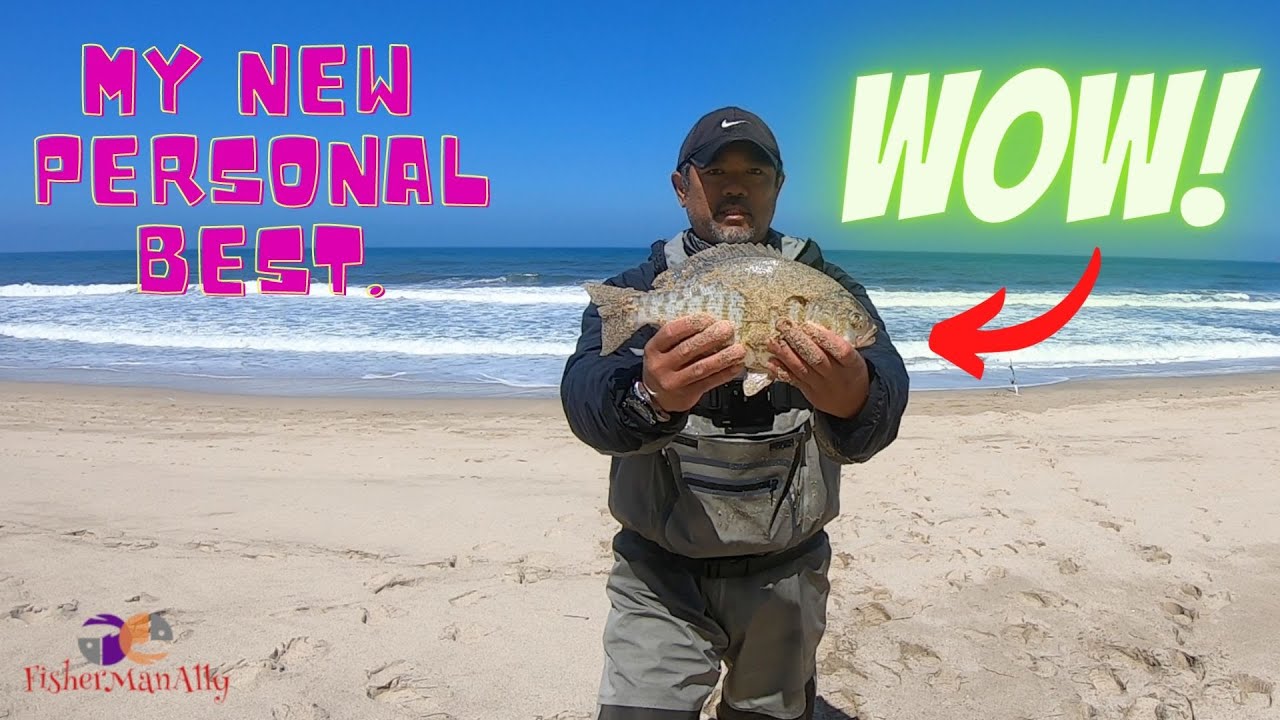 Barred Surfperch! Half Moon Bay Fishing - YouTube