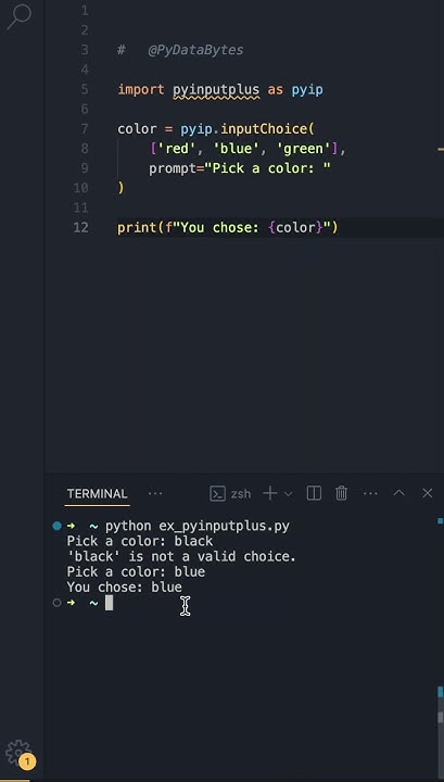 Stop Using Input In Python Use Pyinputplus Python Youtube
