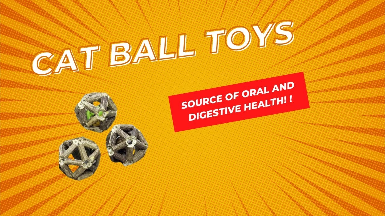 3-Pcs Cat Toys Natural Silvervine Stick Cage Balls - YouTube