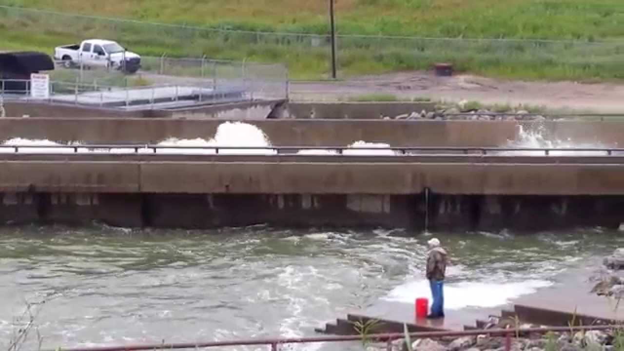 Lake Ray Roberts_Water Release_May 22, 2015 - YouTube