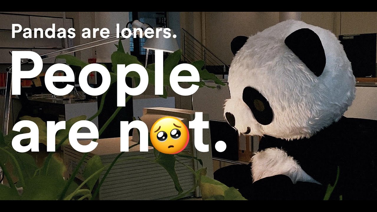 Ode to the office | Pandas are loners. People are not. | We miss you ...