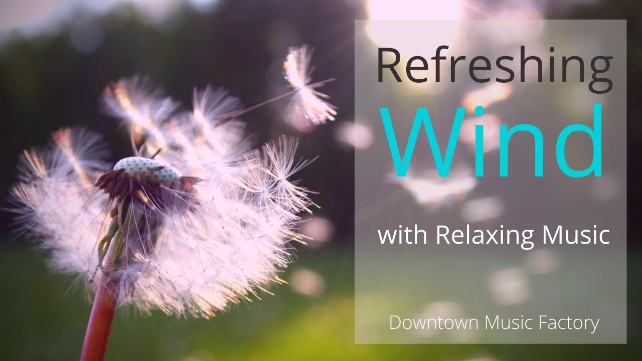 Refreshing Music with Wind | Instrumental, Soothing, Relaxation Music ...