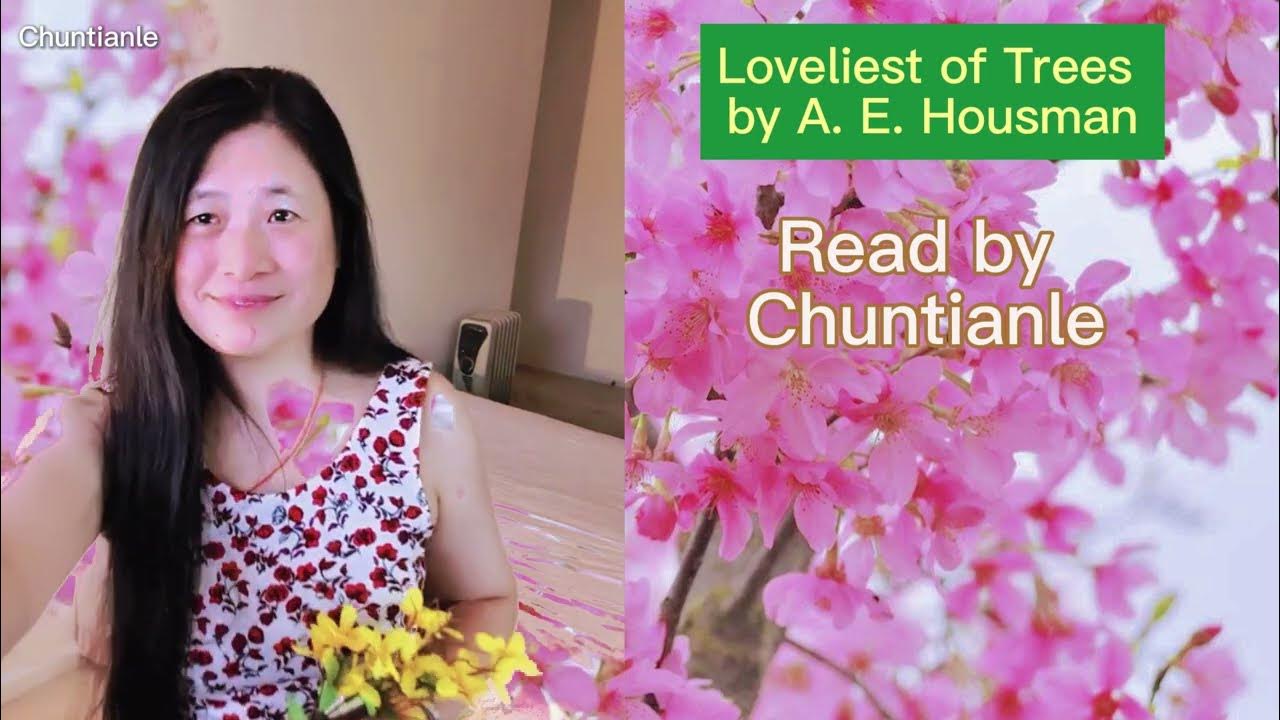 A Shropshire Lad: (II) Loveliest Of Trees By AE Housman | Poetry ...