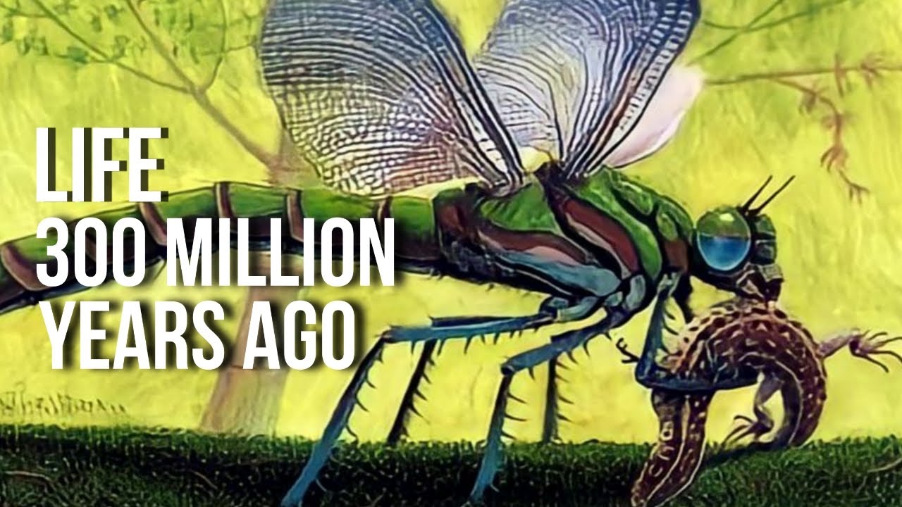 what was Life like in the GIANT INSECTS' ERA - YouTube