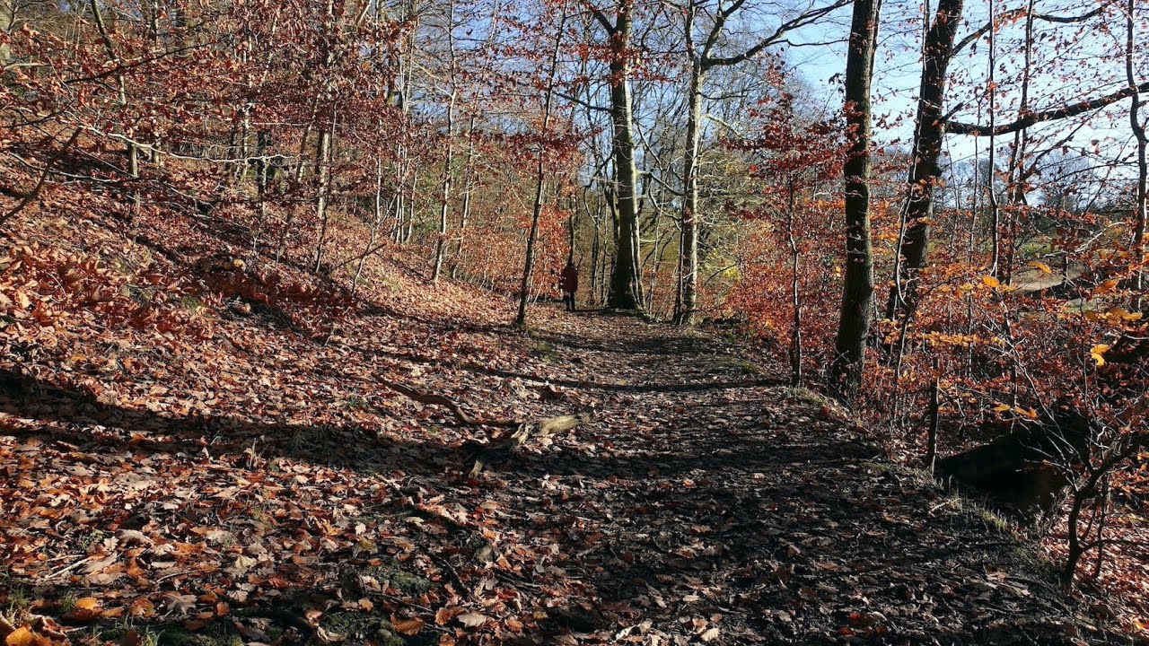 Queens Park, Crimble & the River Roch Heywood - YouTube