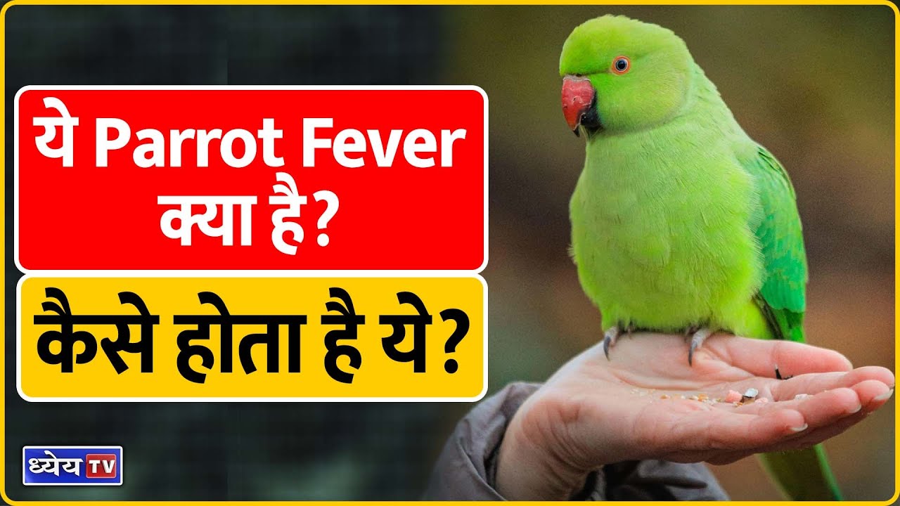 News This Hour : What is Parrot Fever ? || Dhyeya IAS - YouTube