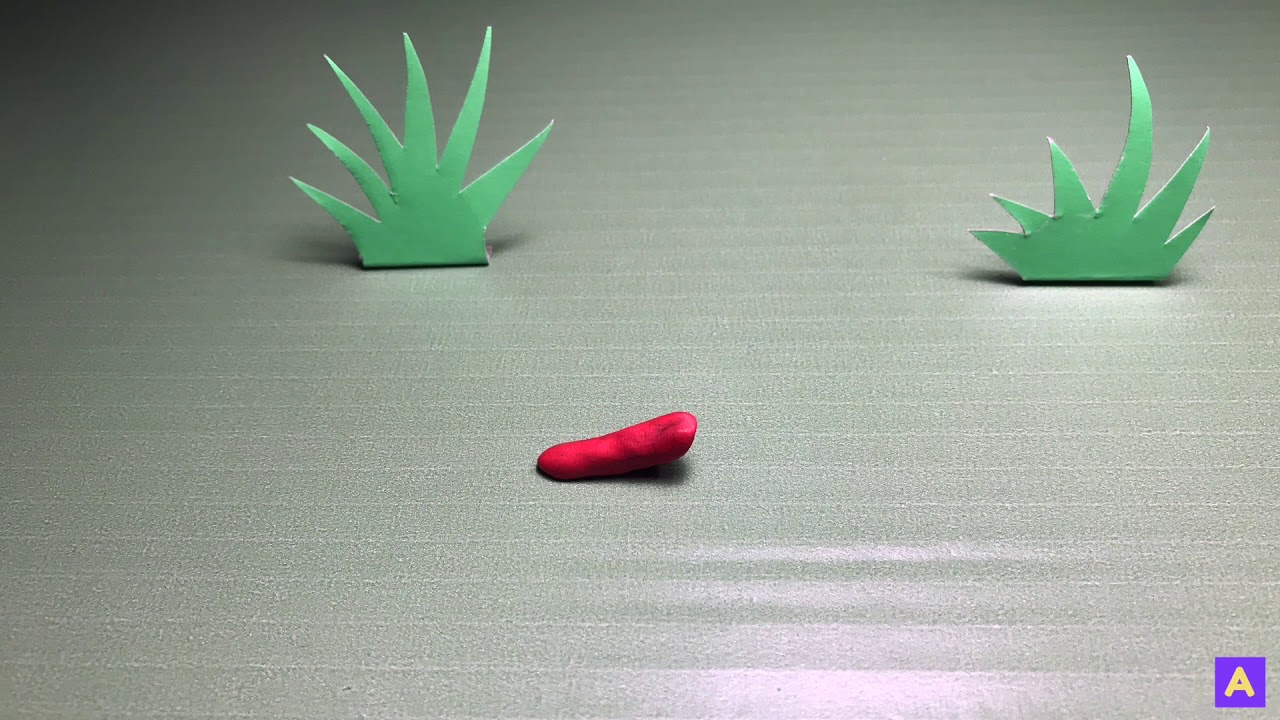Claymation stop motion | The life of worm - YouTube