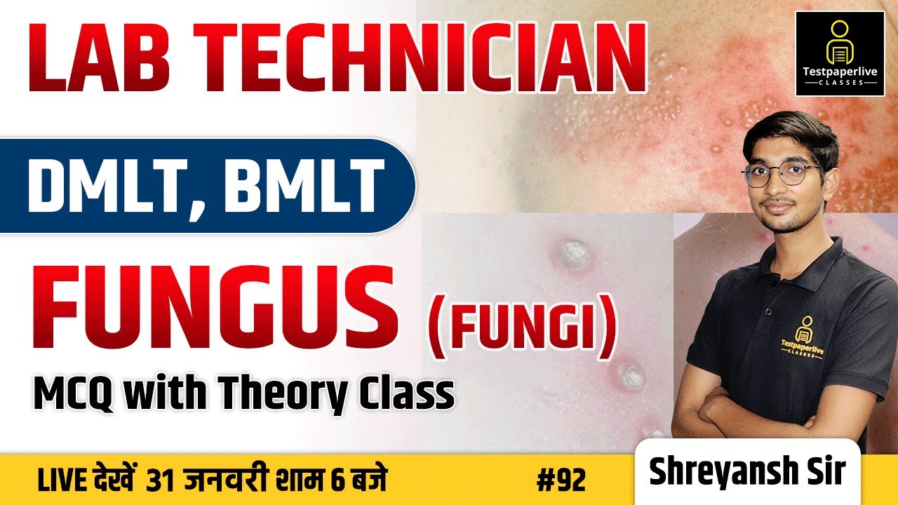 Fungi, Fungus Introduction & Classification In हिंदी || Mycology ...