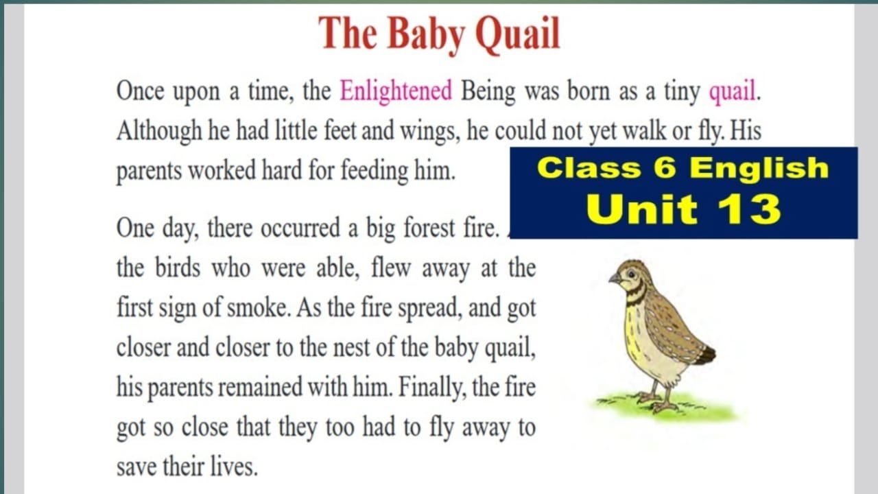 Class 6 English unit 13 with all exercise/Class 6 | English Unit 13 ...