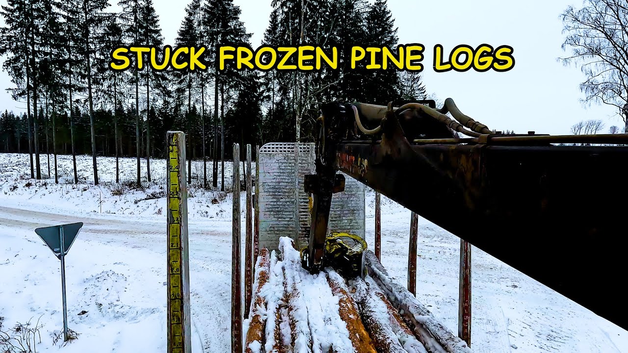 Loading Pine logs from multiple places - YouTube