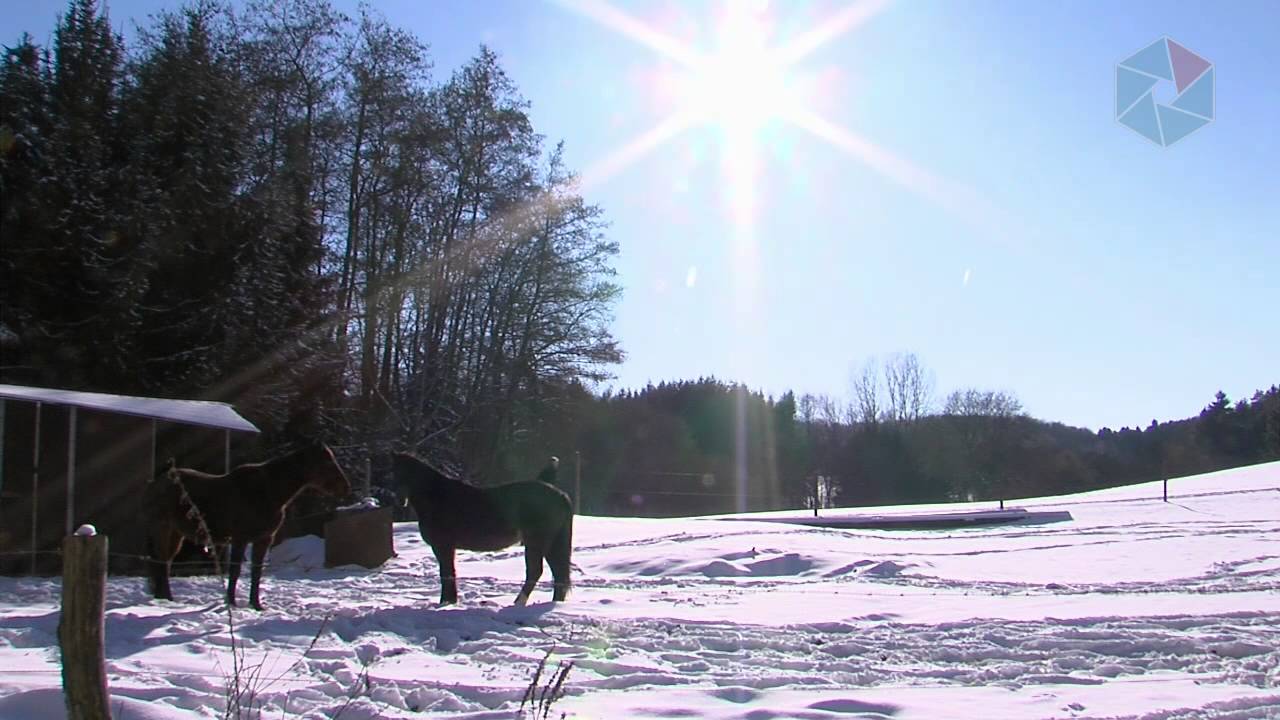 Winter Ade! - YouTube