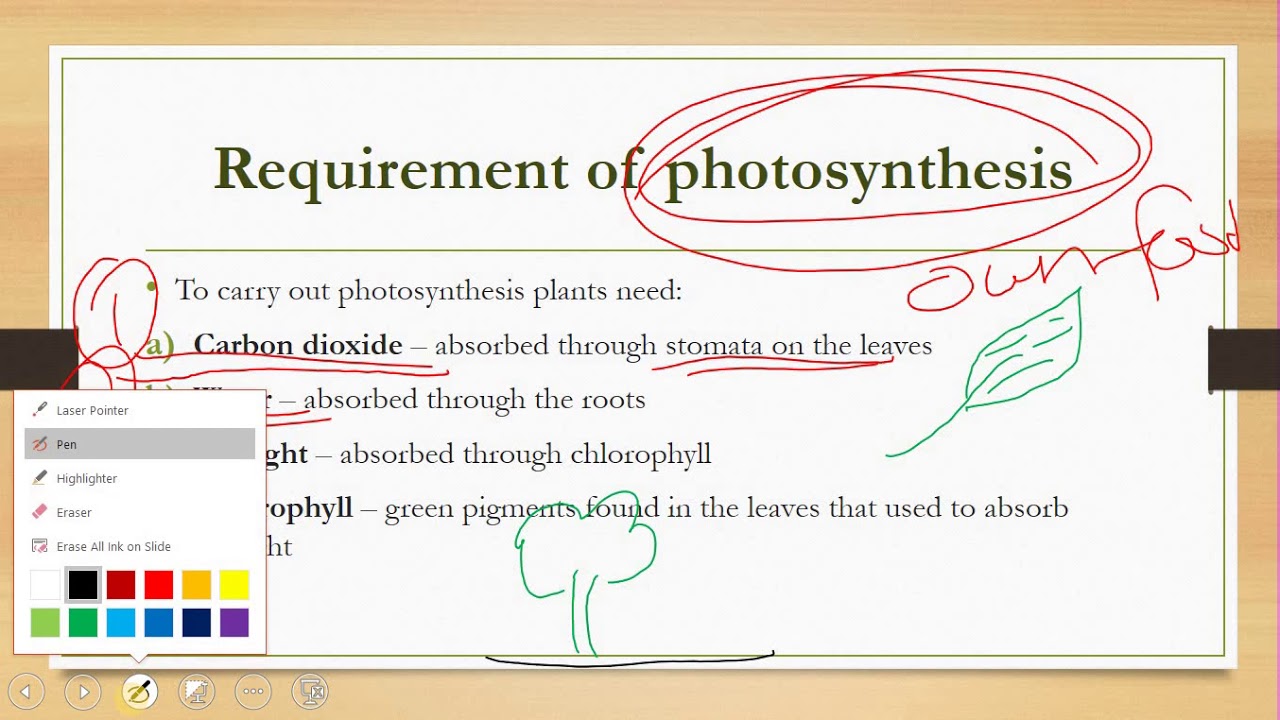 Year 4 Science - Photosynthesis - YouTube