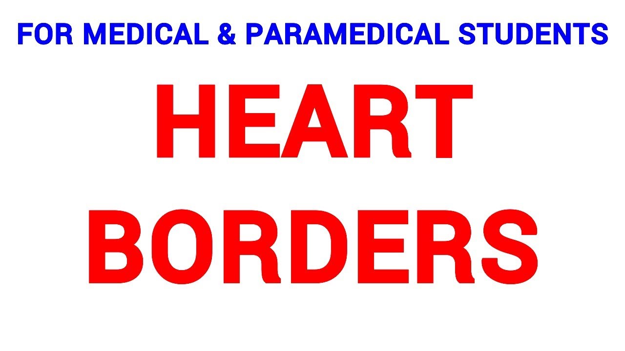 HEART BORDERS | CLINICAL LAB | PHYSIOLOGY - YouTube