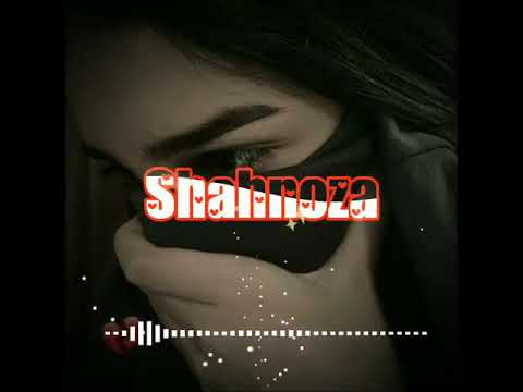 Eng chiroyli videolar