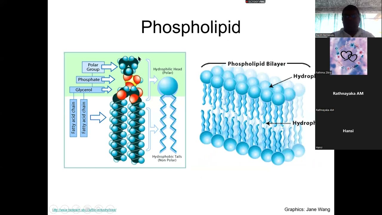 SOAP TECHNOLOGY FUNDAMENTAL PART 5 - YouTube