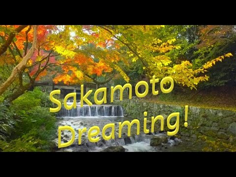 Kyoto Surrounds Tour! Sakamoto Cable Car, Mt Hiei and the Historic ...