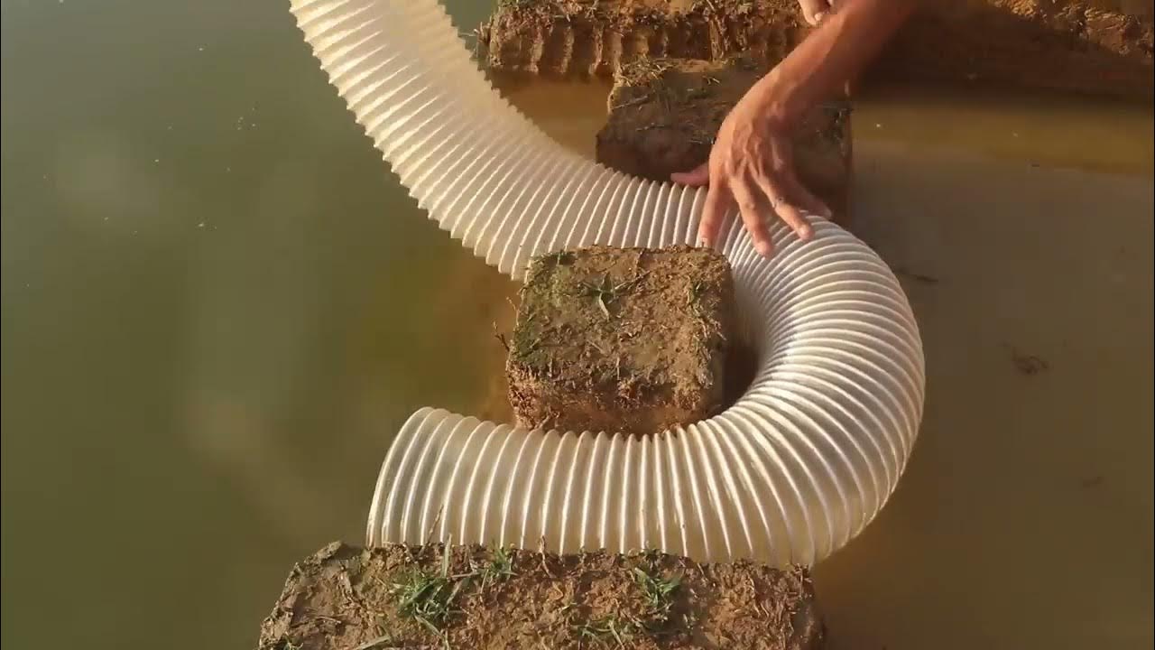 Best Fishing - Use PVC pipe, Build Eel trapping system - YouTube