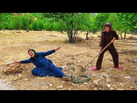Horrifying Venomous Snake Attack on Homeless Mother and Daughter Shocks Everyone
