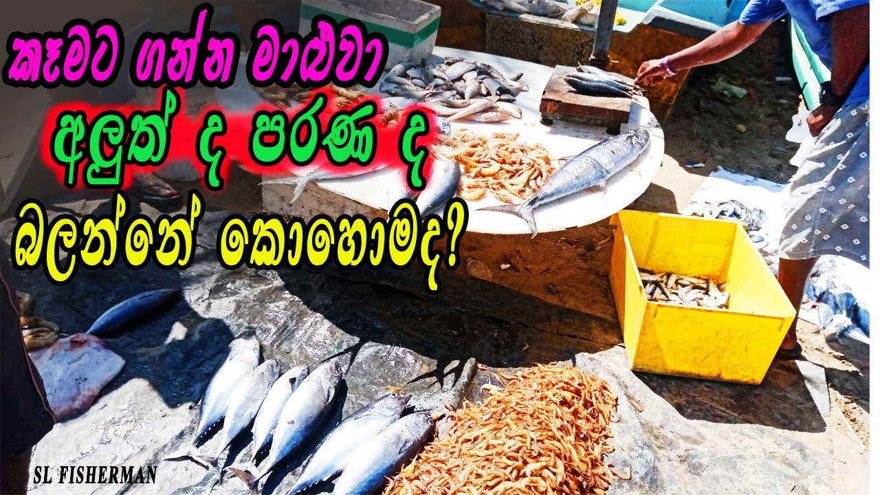 How To Choose Fresh Fish - YouTube