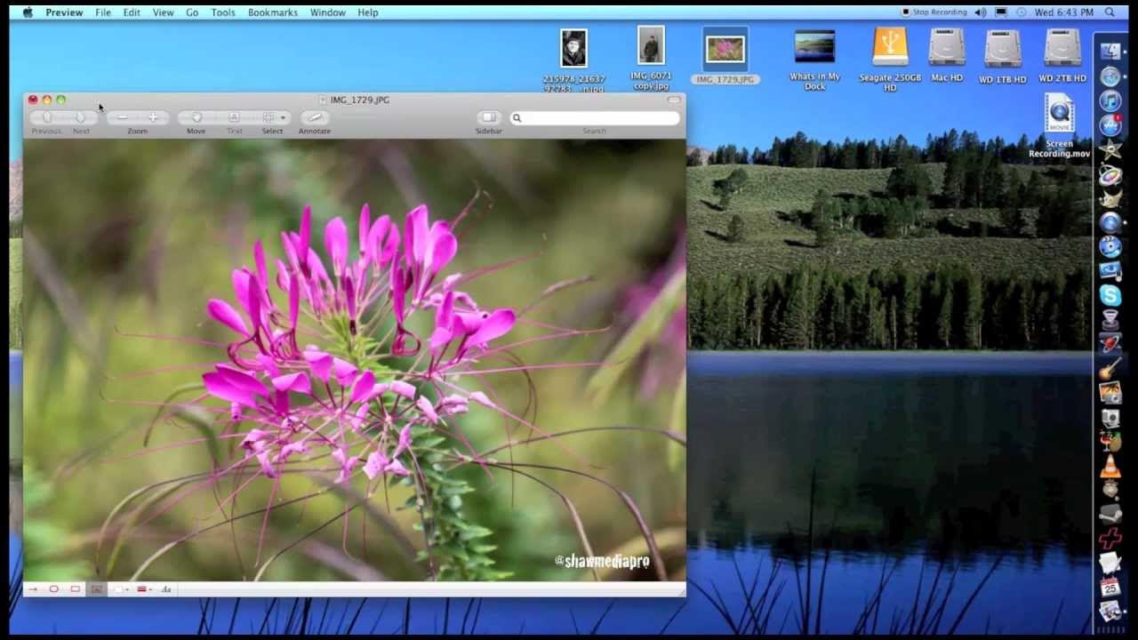 How to add text to a picture on a mac: Mac tips - YouTube