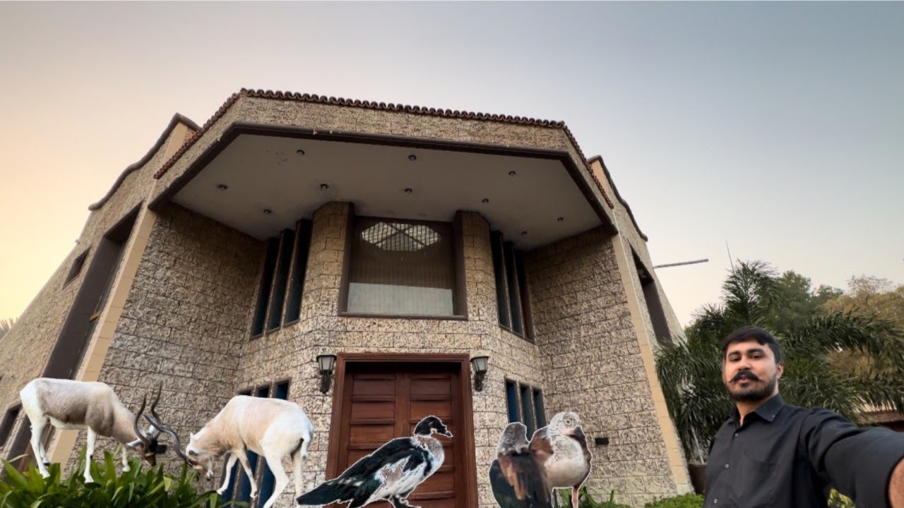 White lion || Tiger || Black Fallow Deer|| Black Buck || Red Fallow ...