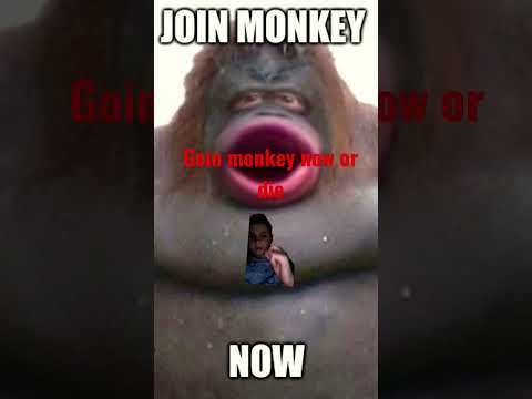 join monkey or else - YouTube