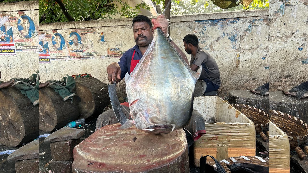 KANNADI PARRAI FISH 🐟 KASIMEDU SPEED SELVAM AMAZING FISH CUTTING # ...