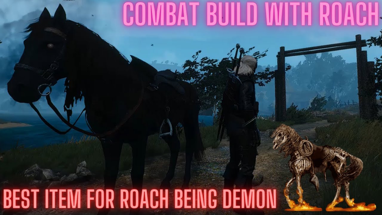 THE WITCHER 3 BEST ITEM FOR ROACH 2022 ( ROACH BEING DEMON ) - YouTube