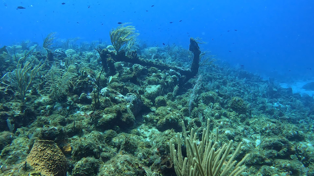 Diving Statia 2026 - Scubaqua - YouTube