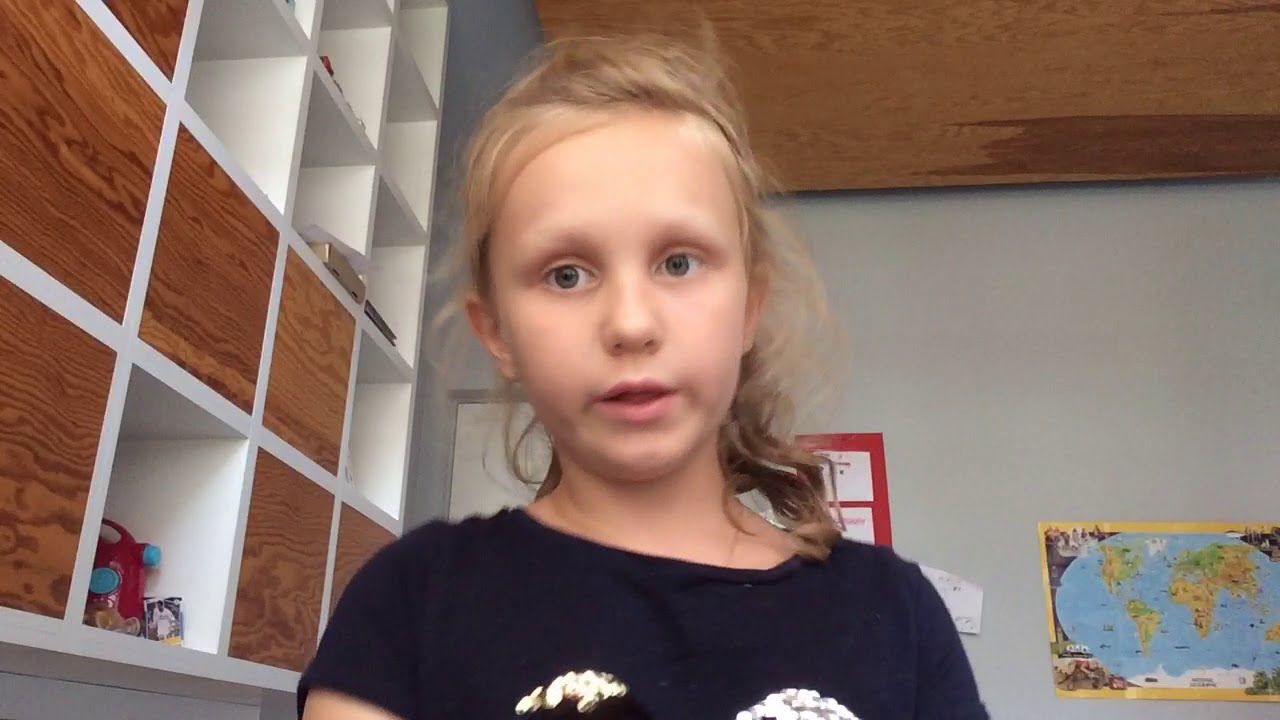 Sis Vs Sis Cute Owl Youtube