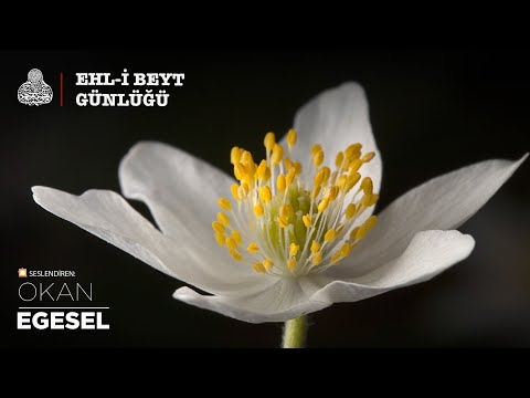 Ehlibeyt Günlüğü: ‘Senin emrinle oruç tuttuk’