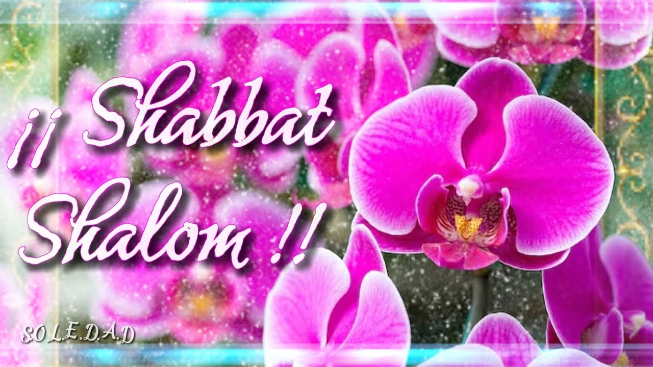 Shabbat Shalom !! || @S.o.l.e.d.a.d - YouTube