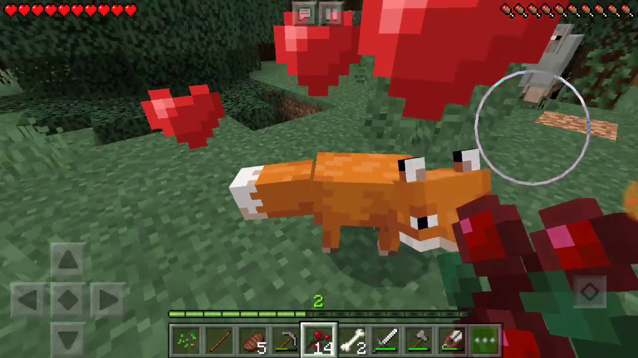 Fuzzy Fox Friends in MINECRAFT - YouTube