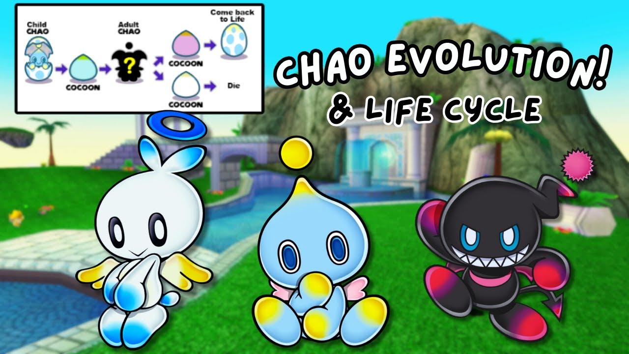 How to get your Chao to Evolve & more! (Sonic Adventure 2: Battle and ...