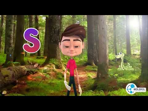 S SESİ - ATOM KARINCA OKUMA YAZMA - 17