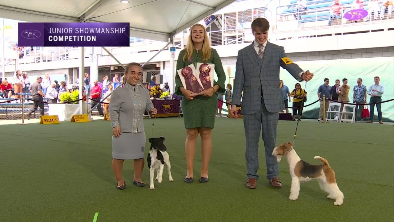 Junior Showmanship Preliminaries Ring 1 | Breed Judging 2023 - YouTube