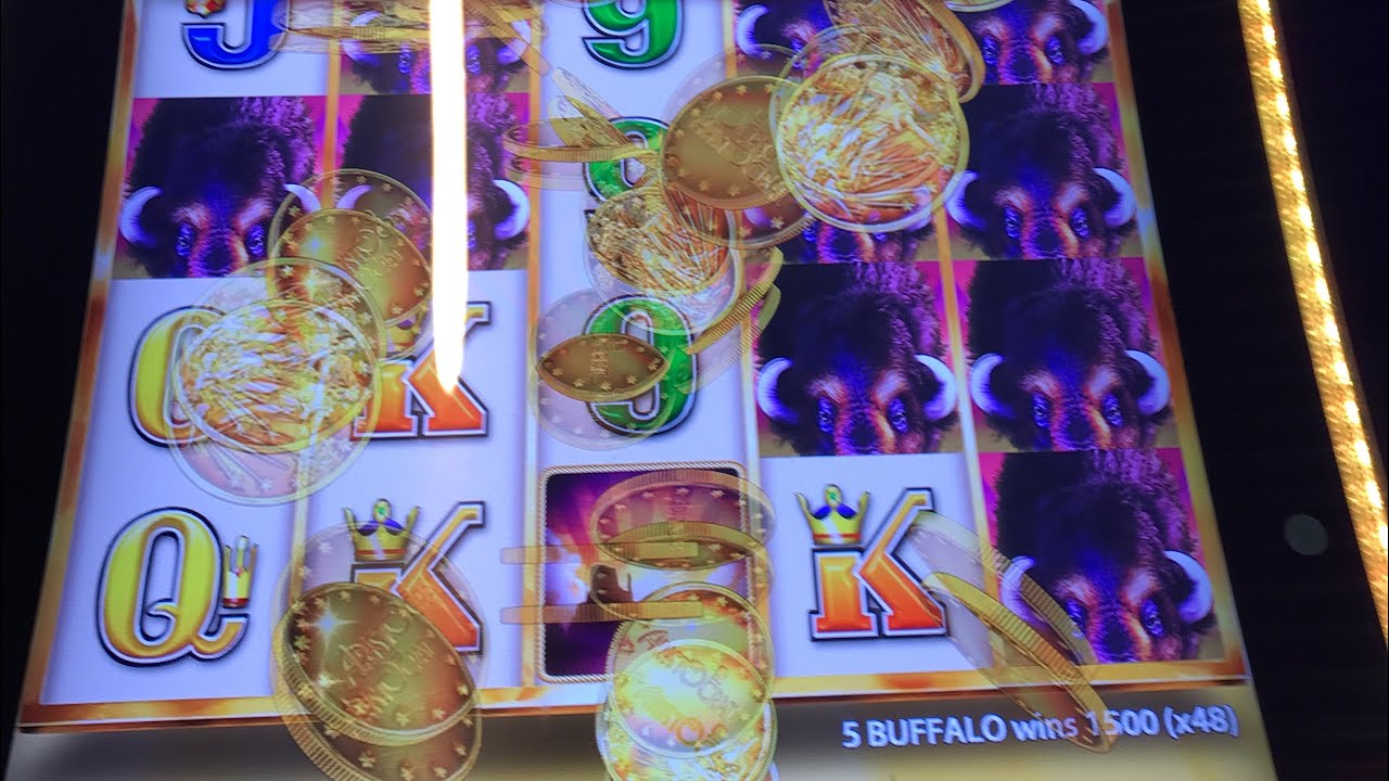 First Time Slot Player - Turn $20 Into $1300 WIN!! #BuffaloGrand - YouTube
