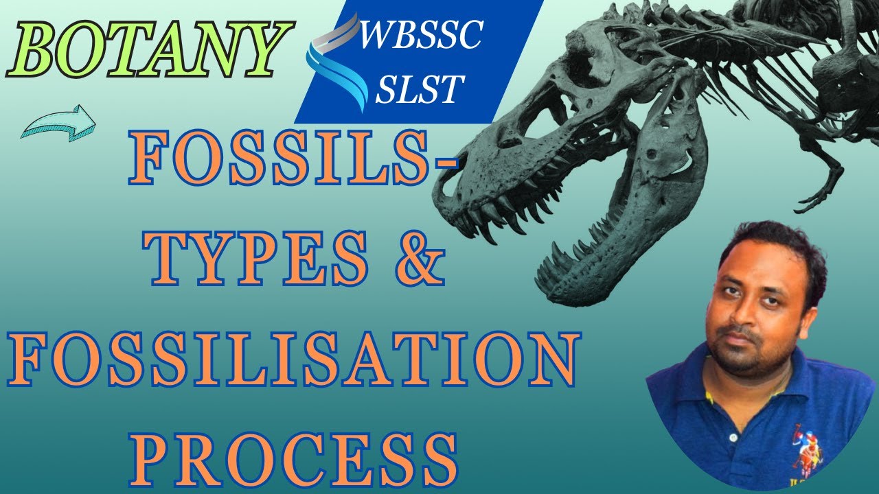 Fossil-types and fossilization process - YouTube
