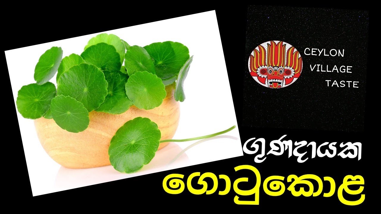 How to make Gotukola Sambole at Home 😋 - YouTube