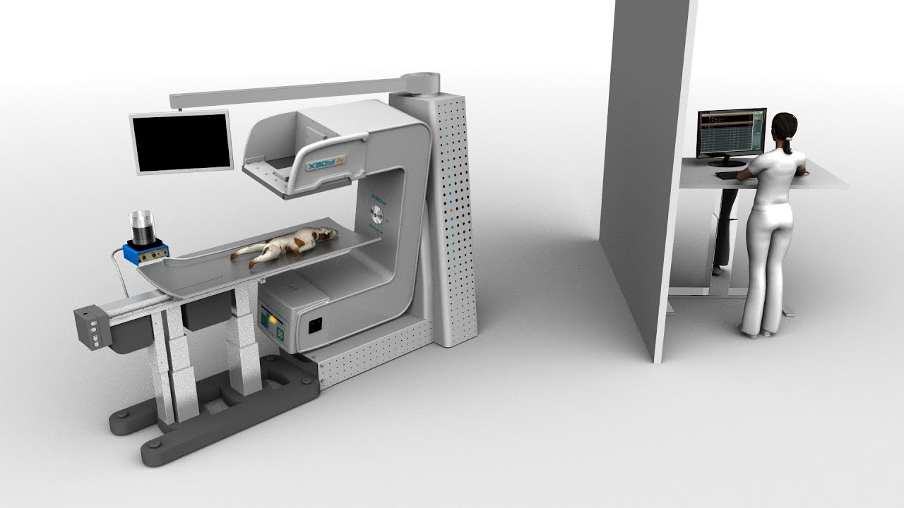 Animage - Fidex FS US - YouTube