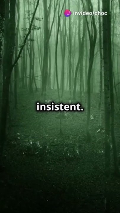 Story on The Echoing Silence - YouTube