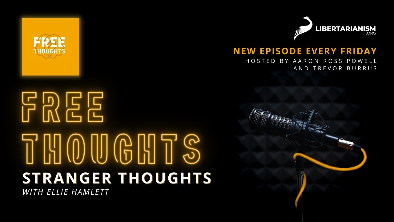 Idealizing the Government: Political Philosophy for the Real World ...