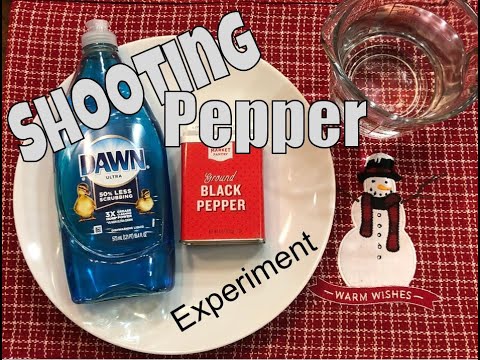 Shooting Pepper Science Experiment (Surface tension changes) - YouTube